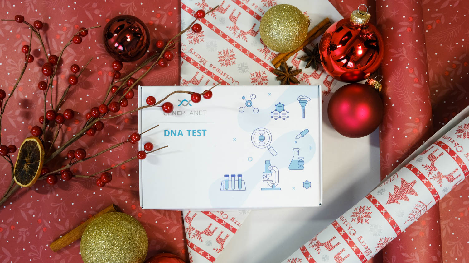 » The ultimate personal gift idea: a DNA test